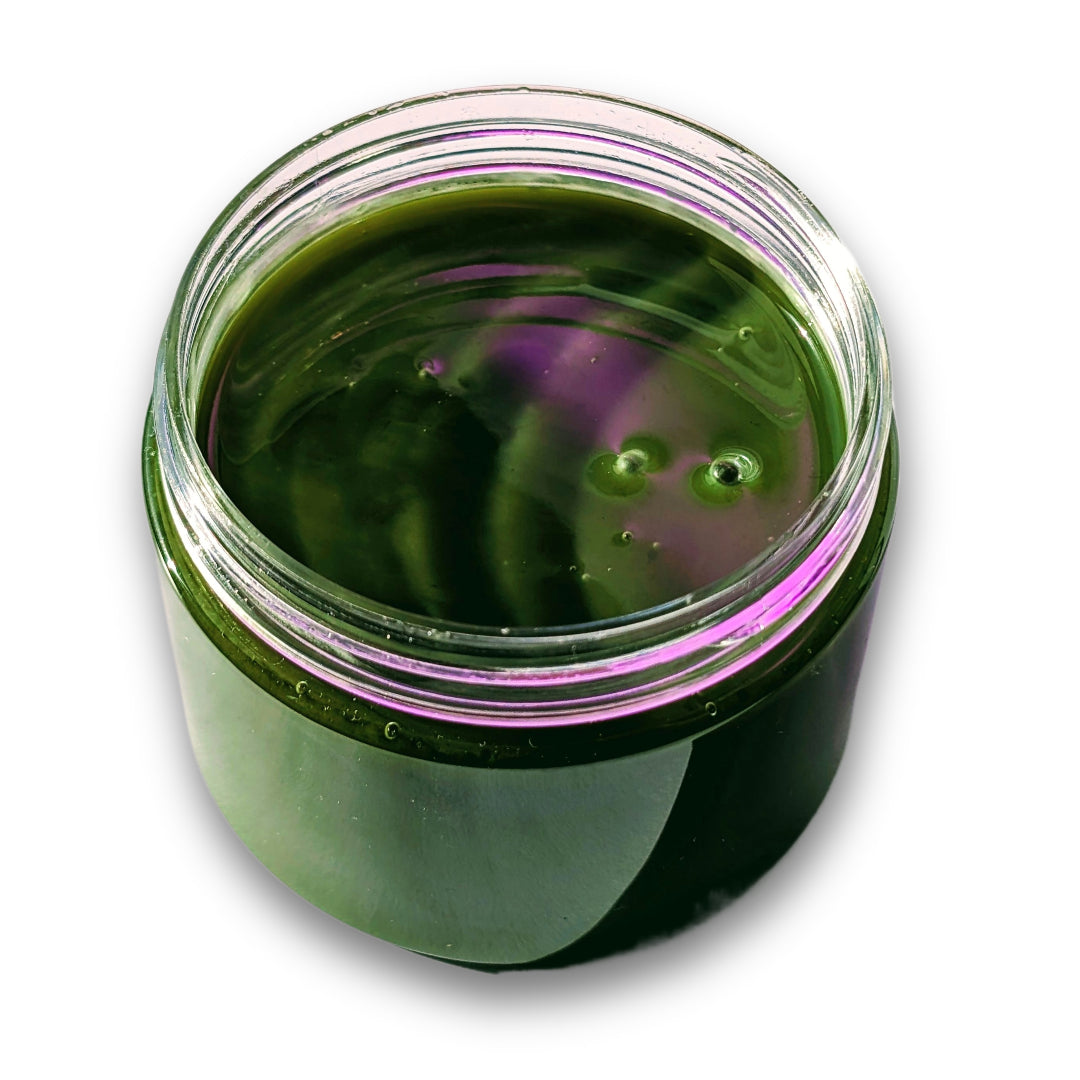 Live Seaweed Anti-Aging Face And Neck Mask. Unisex. Made in NYC ...